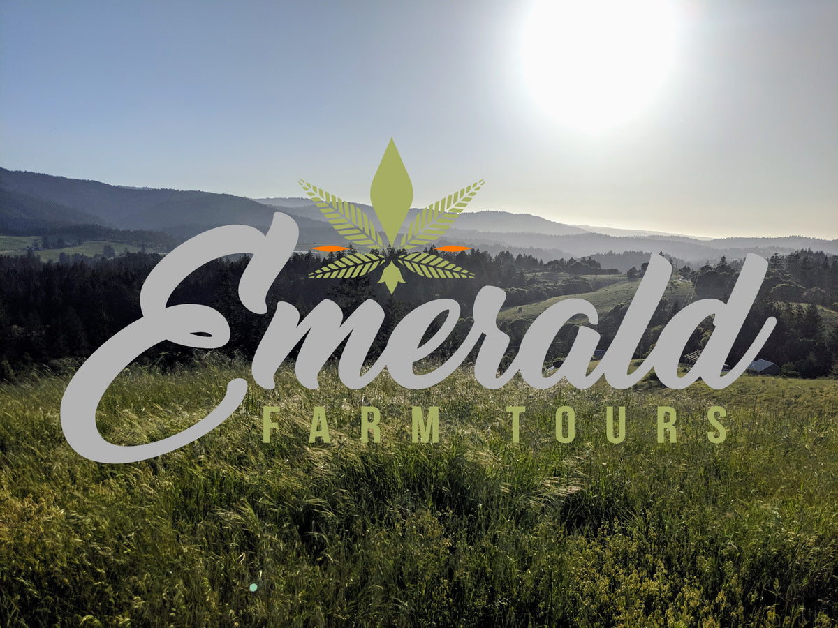 A Brief History of California's Emerald Triangle | Emerald Farm Tours